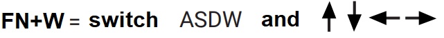 AC5610 A S W D Keys in Windows are swapped with arrow keys – ACT